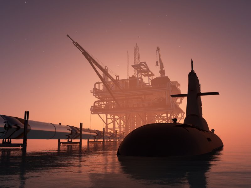 Springs in the Marine Sector